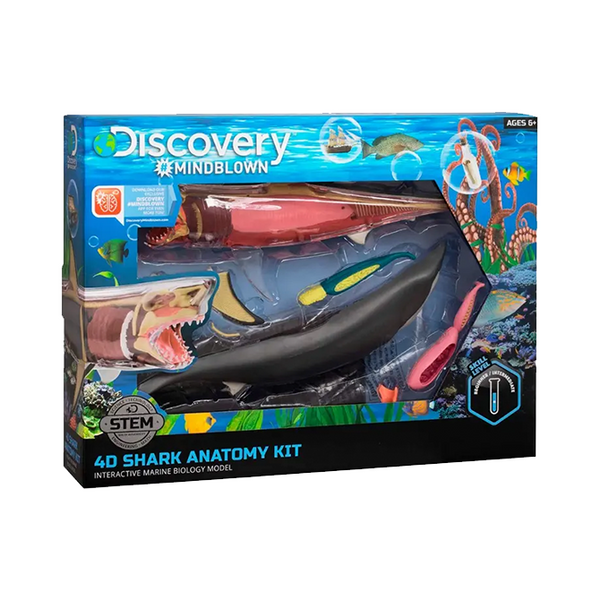 Discovery Anatomy Model 4D Shark – PSM Shop Kuwait